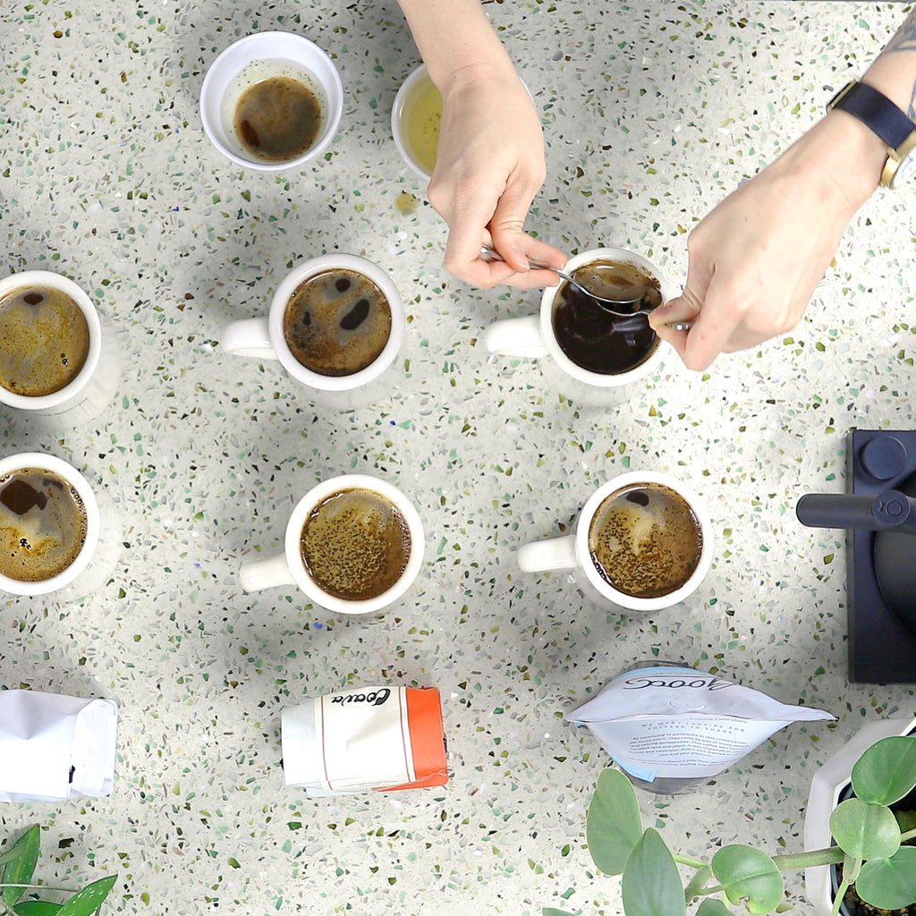 Your Guide to Coffee Cupping: Refine Your Coffee Tasting Skills at Hom ...