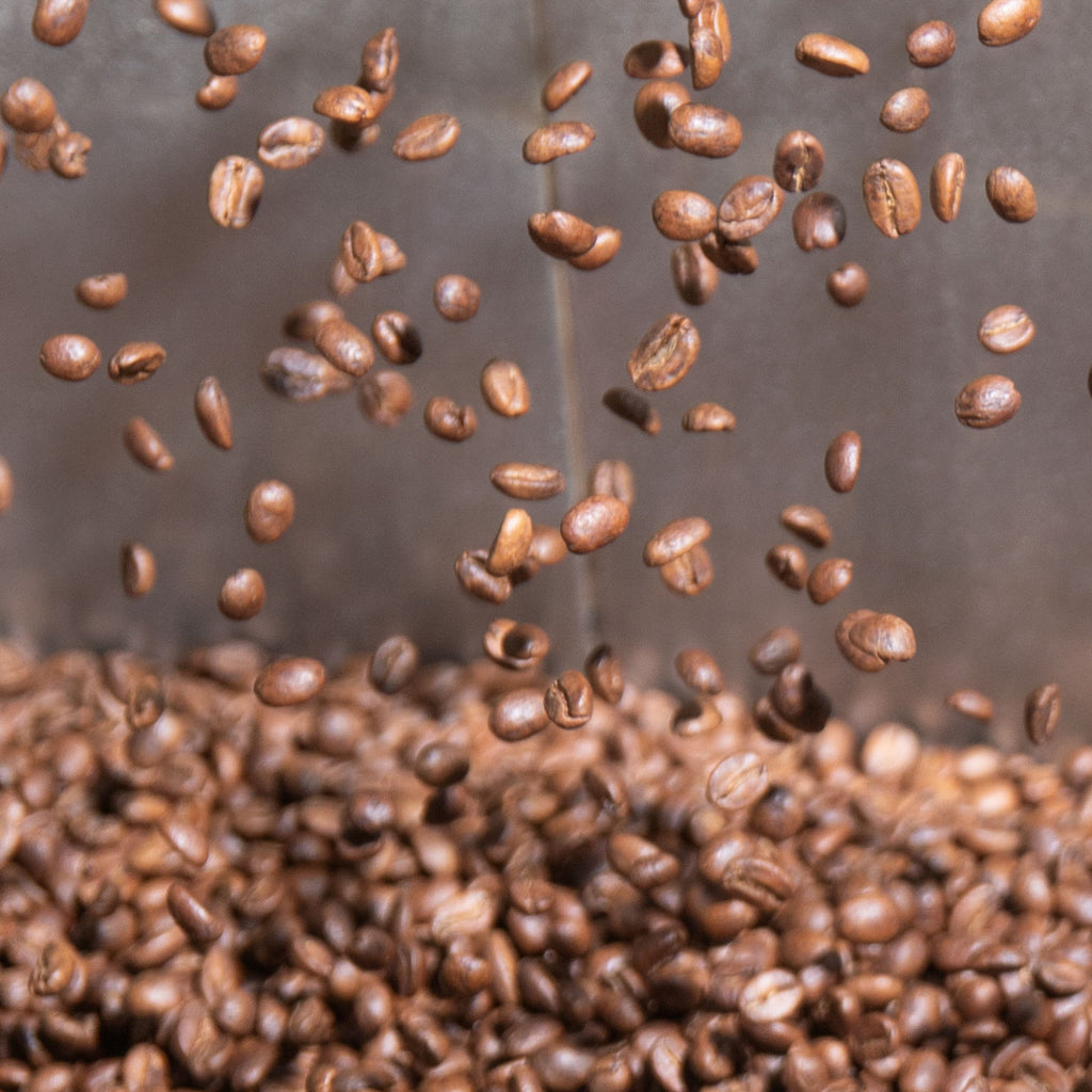 How Coffee Roasting Affects Extraction with Olympia Coffee – Clive Coffee