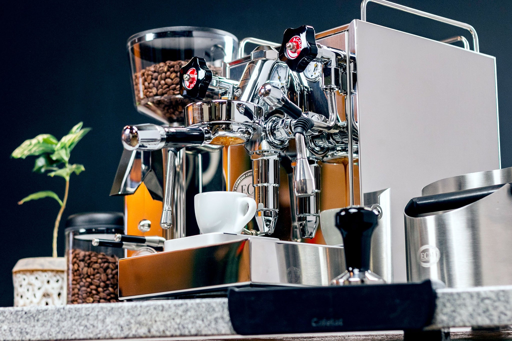 ECM Angled Bottomless Portafilter | 58mm E61 | Clive Coffee