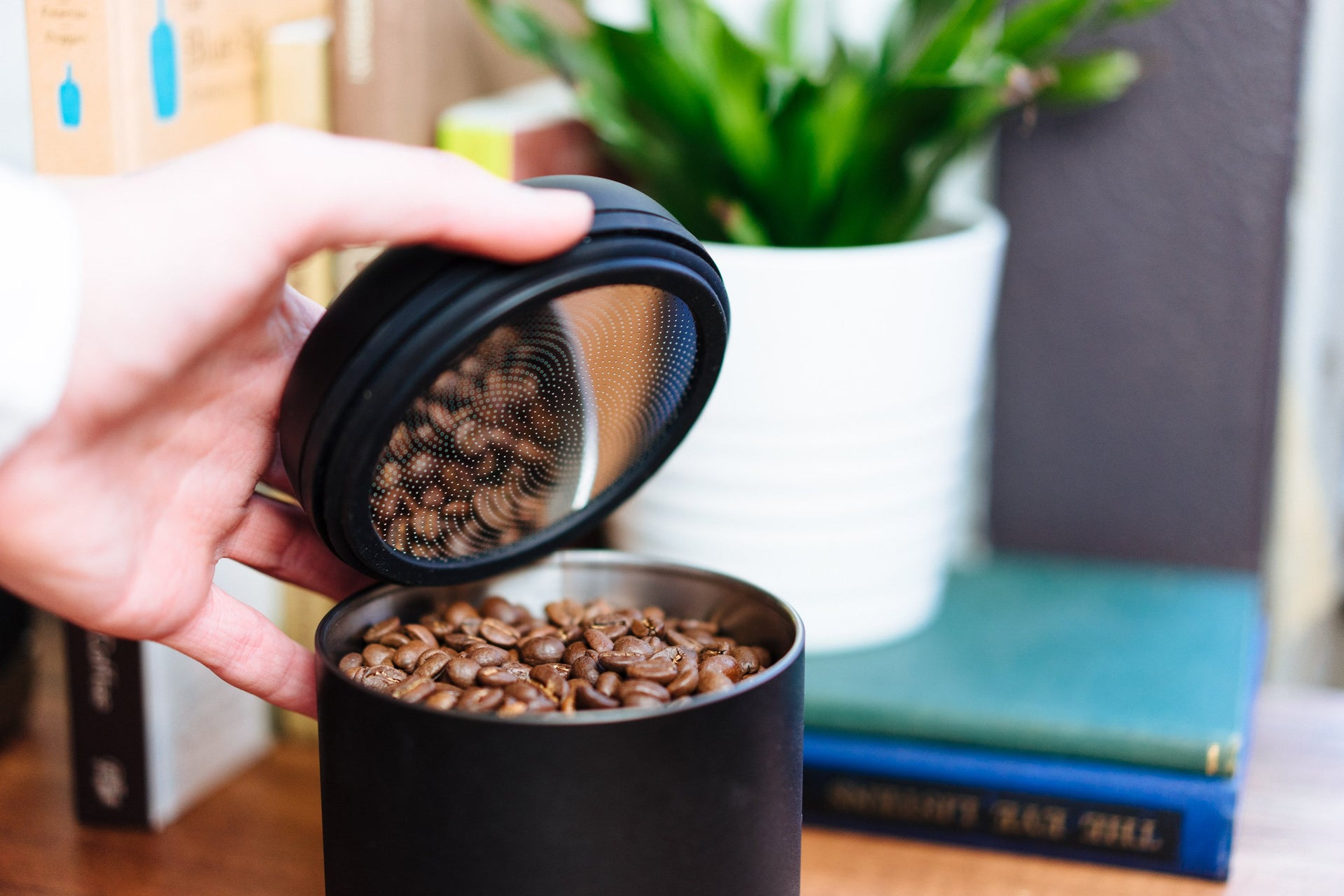 Fellow Atmos Canister | Vacuum-Sealed Storage | Clive Coffee