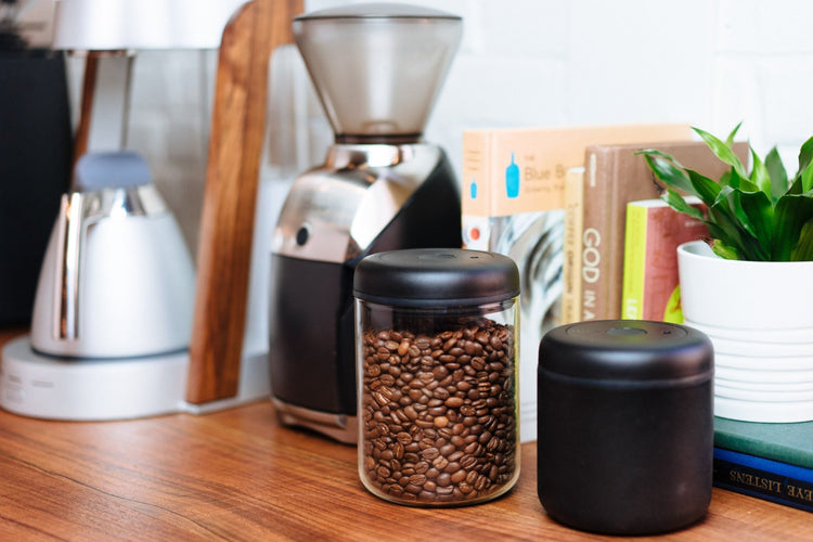 Fellow Atmos Canister | Vacuum-Sealed Storage | Clive Coffee